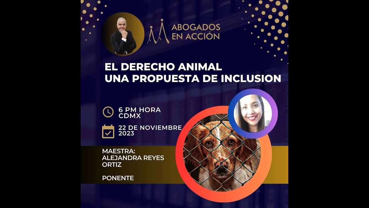 "El derecho animal, una propuesta de inclusión" - YouTube
