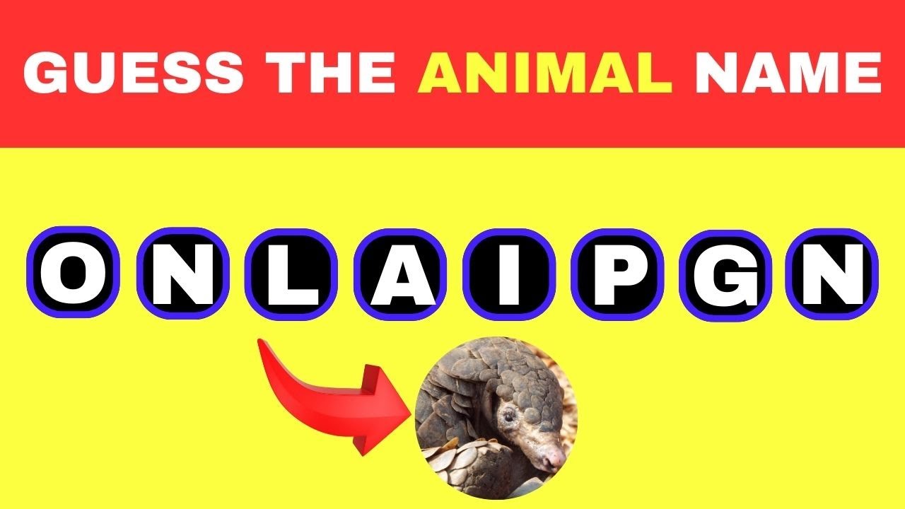 Guess The Animal Name from the SCRAMBLED LETTERS 🤔🦁| SCRAMBLED WORD ...