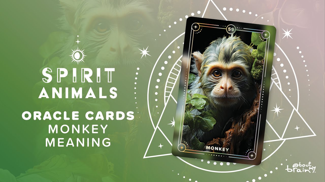 Monkey Spirit Animal | Symbolism & Meaning Explained - YouTube
