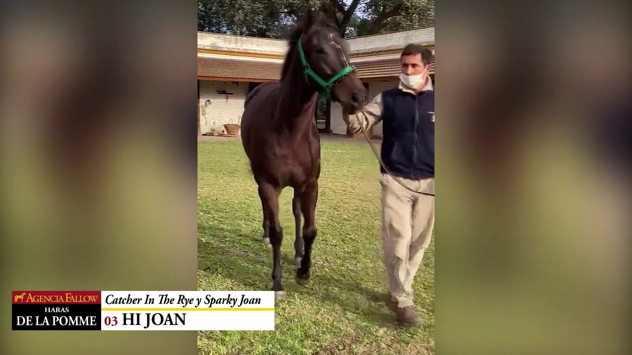 03 HI JOAN - YouTube