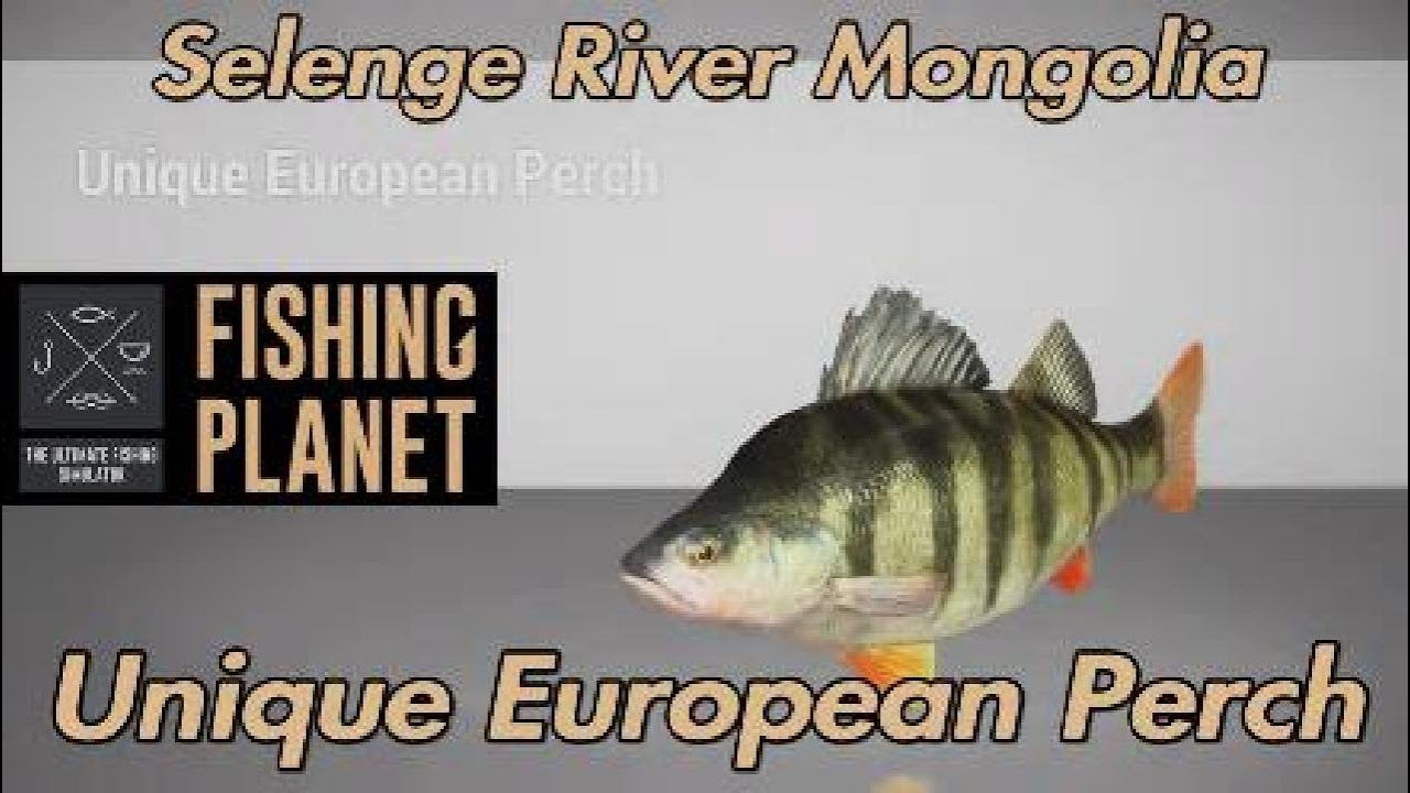 Fishing Planet Unique European Perch Selenge River Mongolia - YouTube
