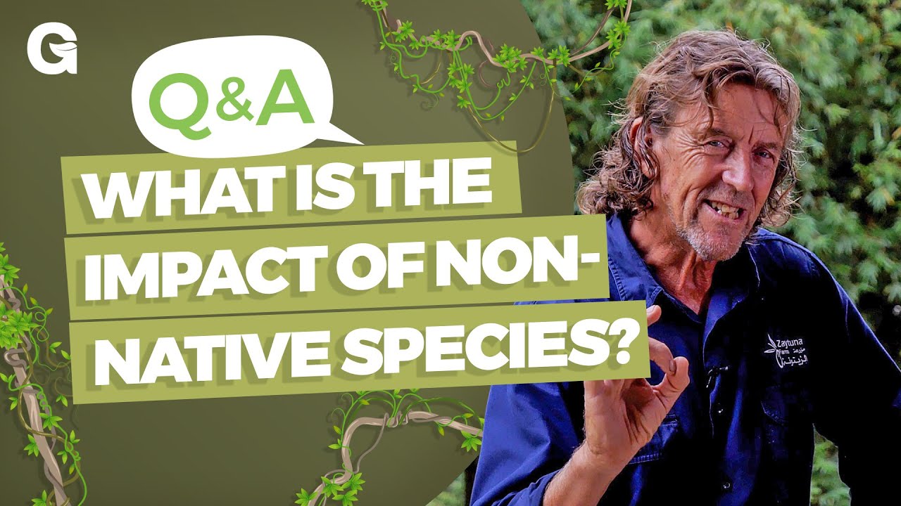 What is the Ecological Impact of Cultivating Non-Native Species - YouTube