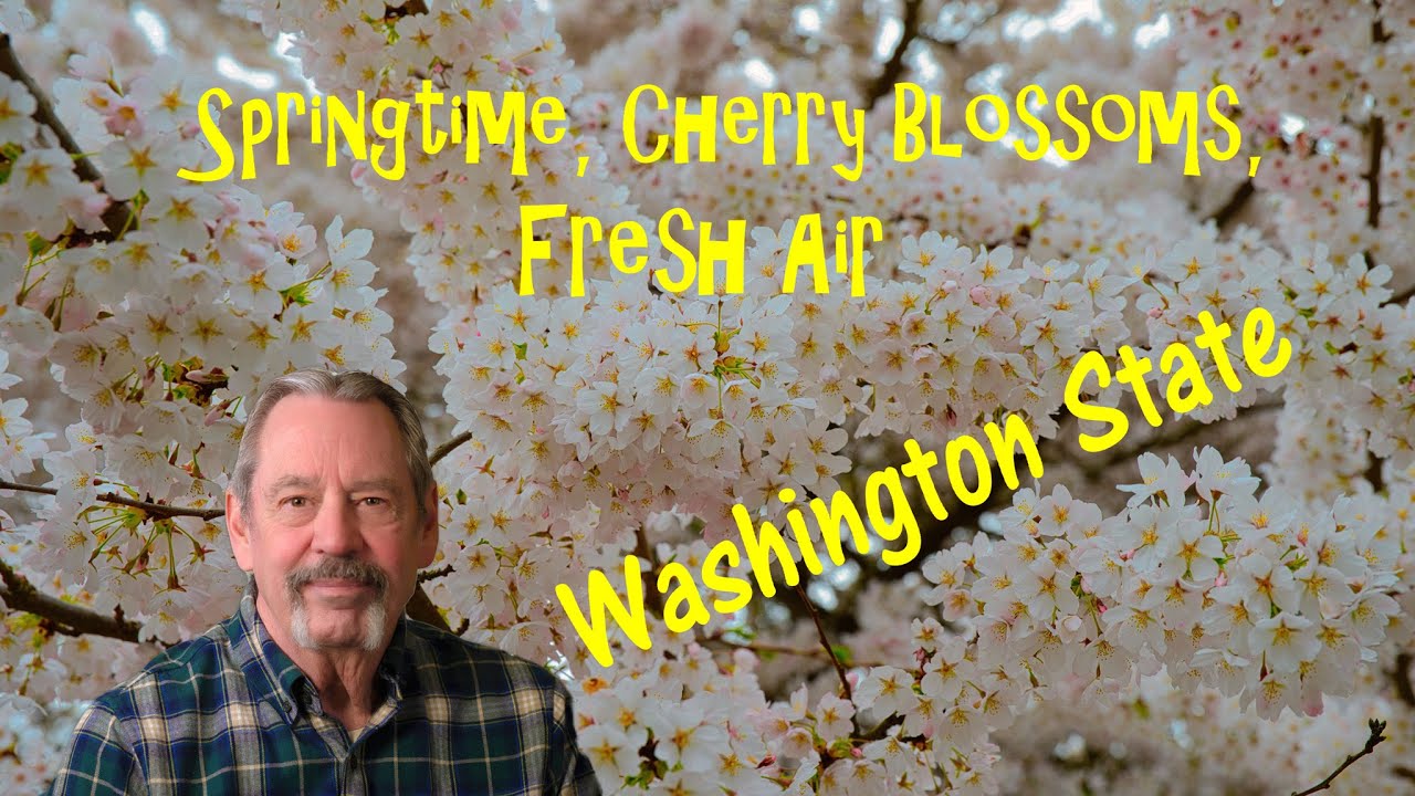 WALK INTO SPRING on Washington State's Capital Campus! #washingtonstate ...