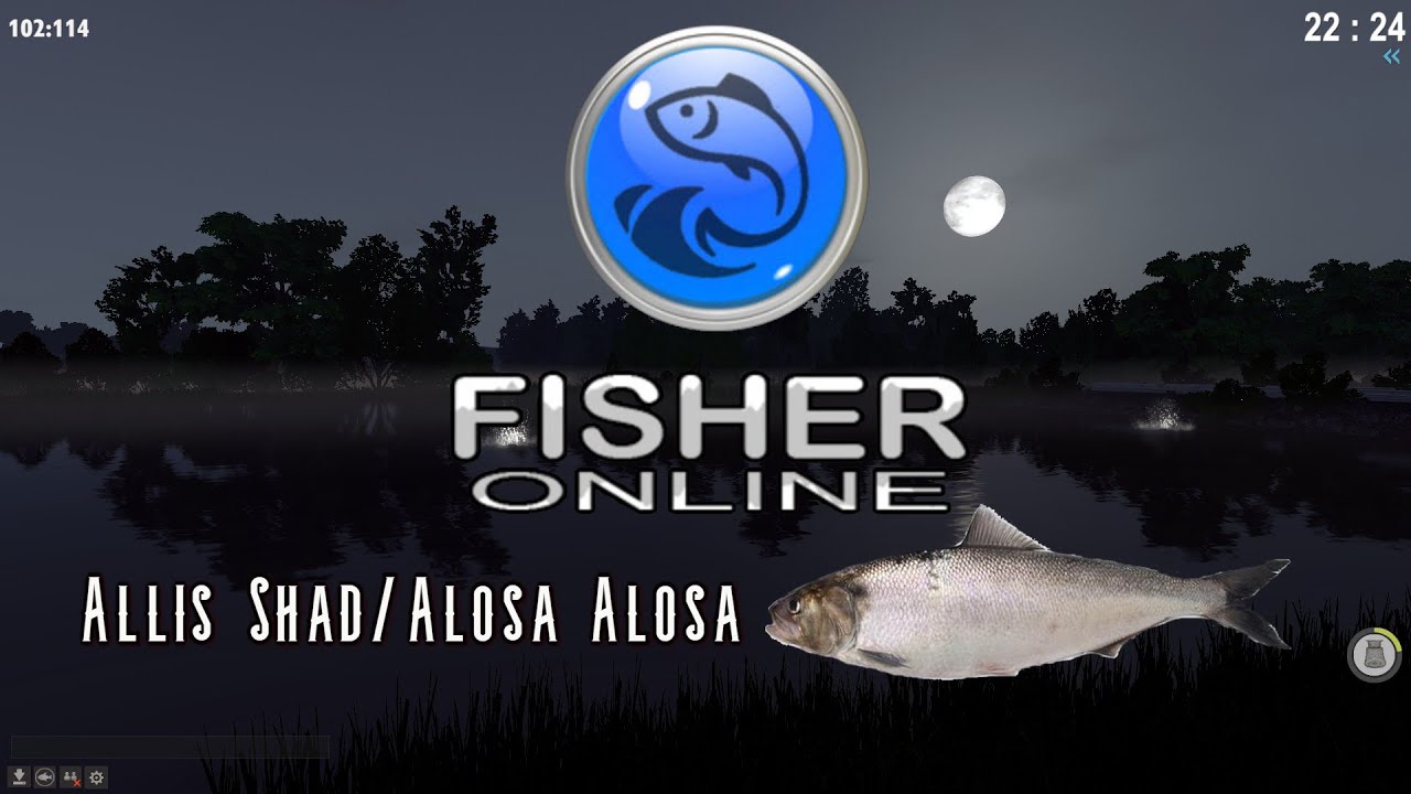 Fisher Online - Allis Shad -- Netherlands - YouTube