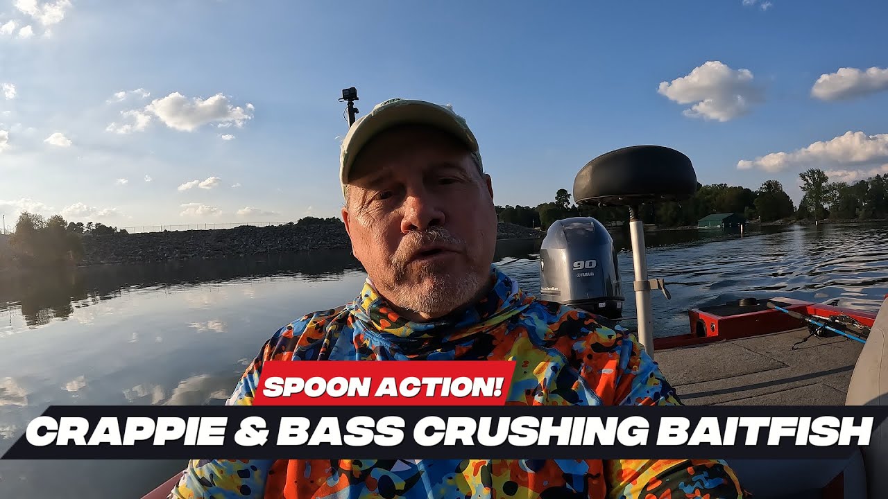 Spoon Action! - YouTube