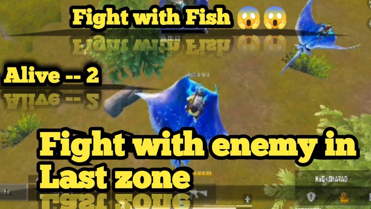 //PUBG Flight with enemy in Last zone with Fish//BGMI//#pubgmobile # ...
