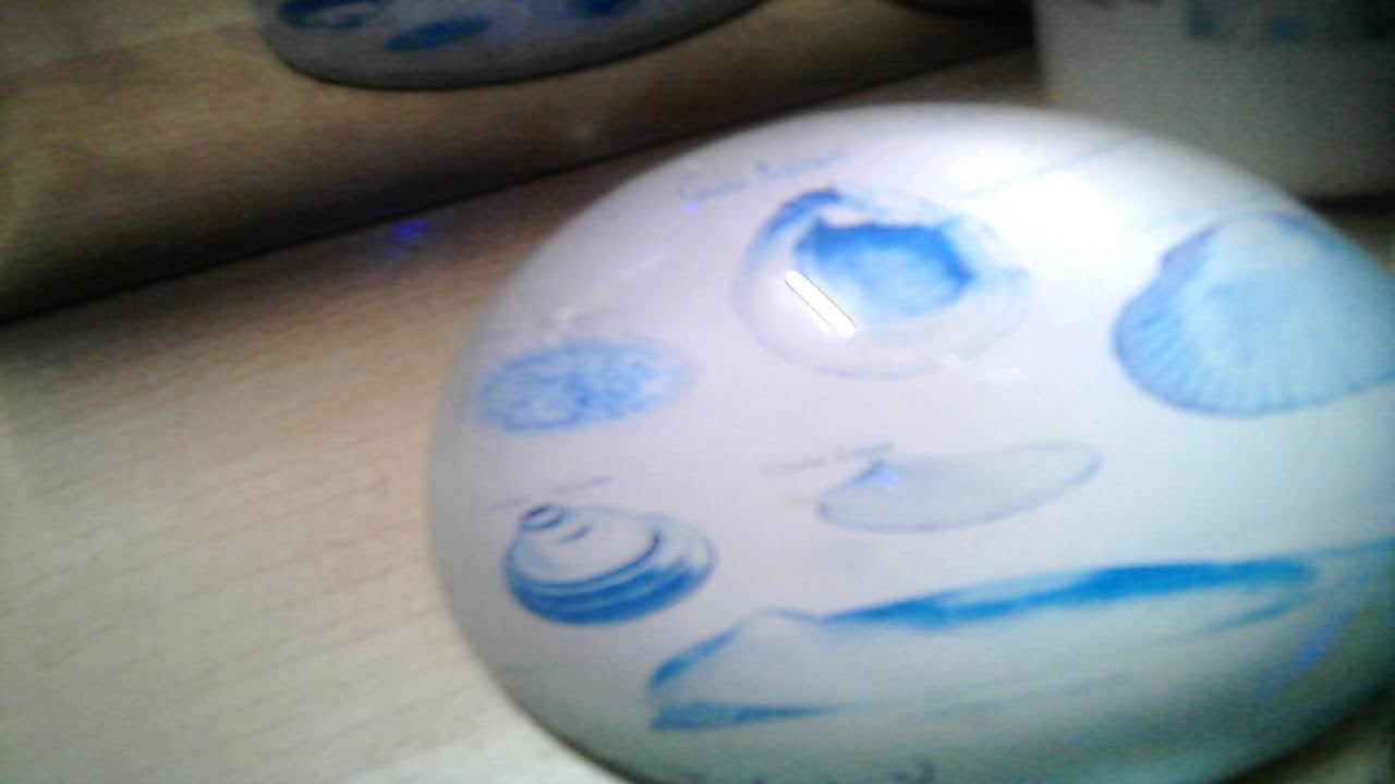 #shell of life||silent night - YouTube