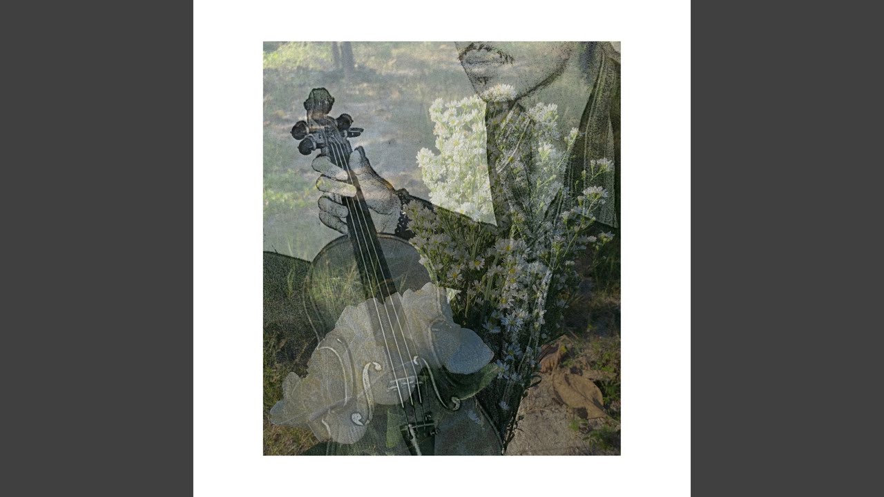 Missing Roses - YouTube