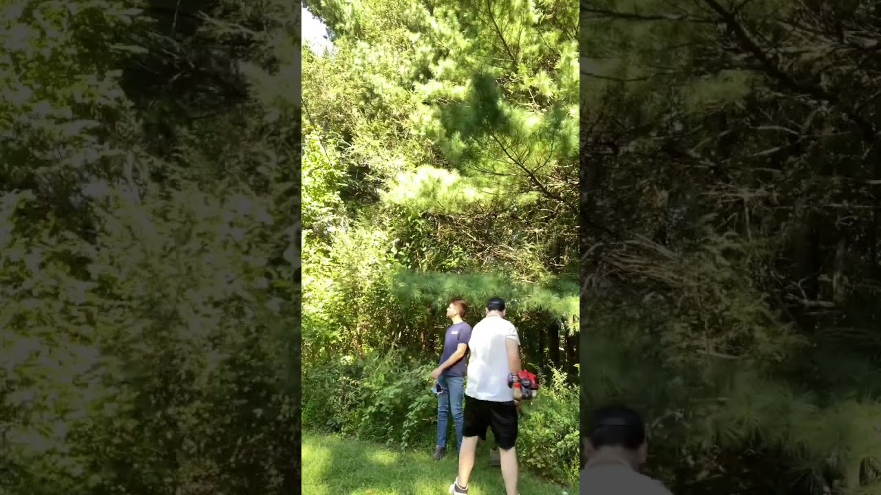 Did I hit something?? #new #shorts #funny - YouTube