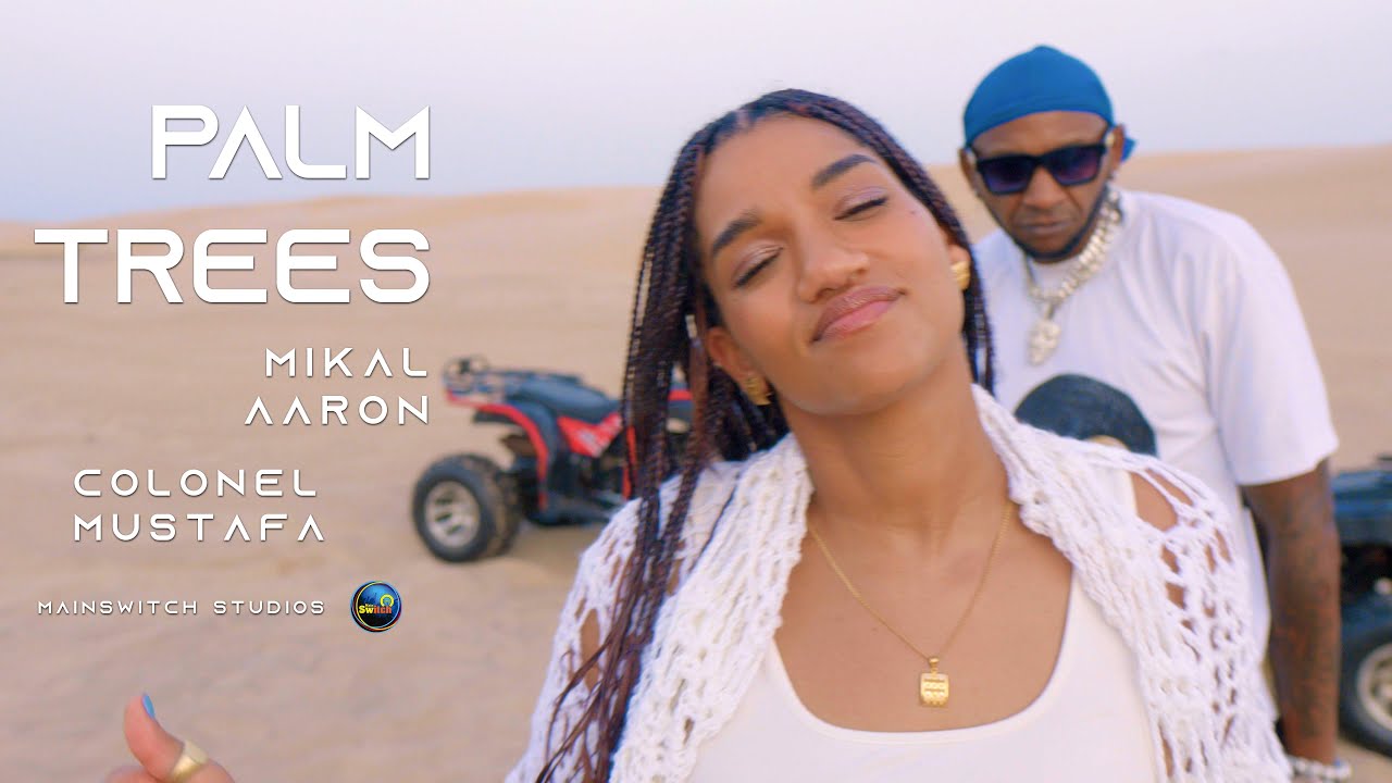 Mikal Aaron x Colonel Mustafa - Palm Trees - YouTube