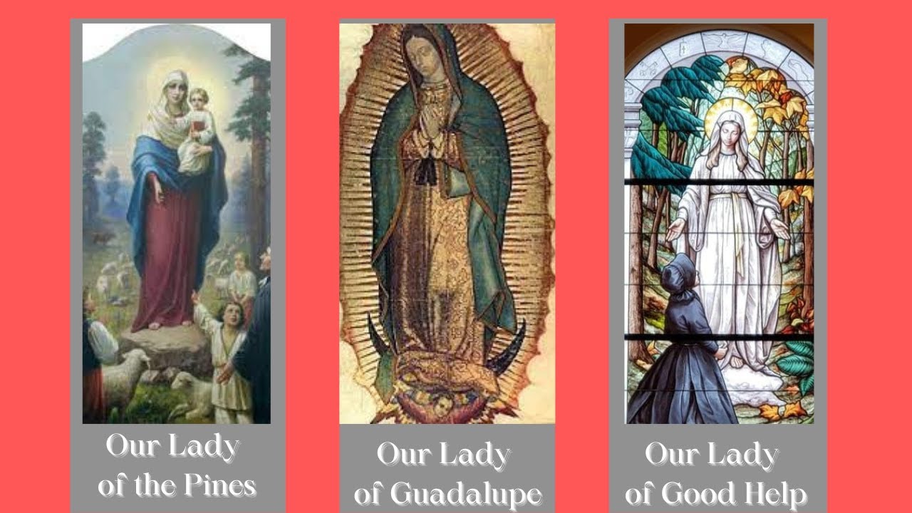 3 AMAZING STORIES OF OUR LADY - YouTube