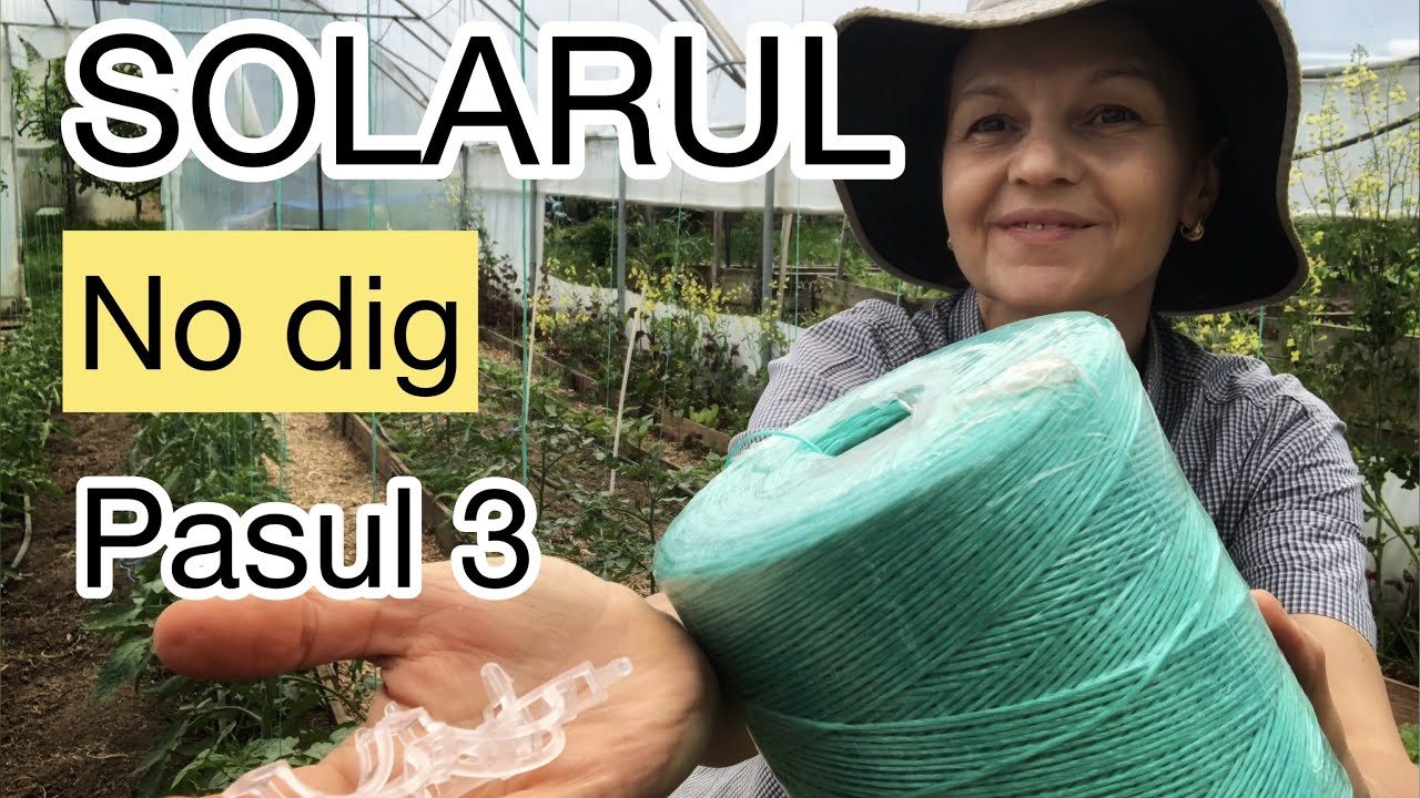 Plantarea, copilirea si palisarea rosiilor in solarul no dig - YouTube