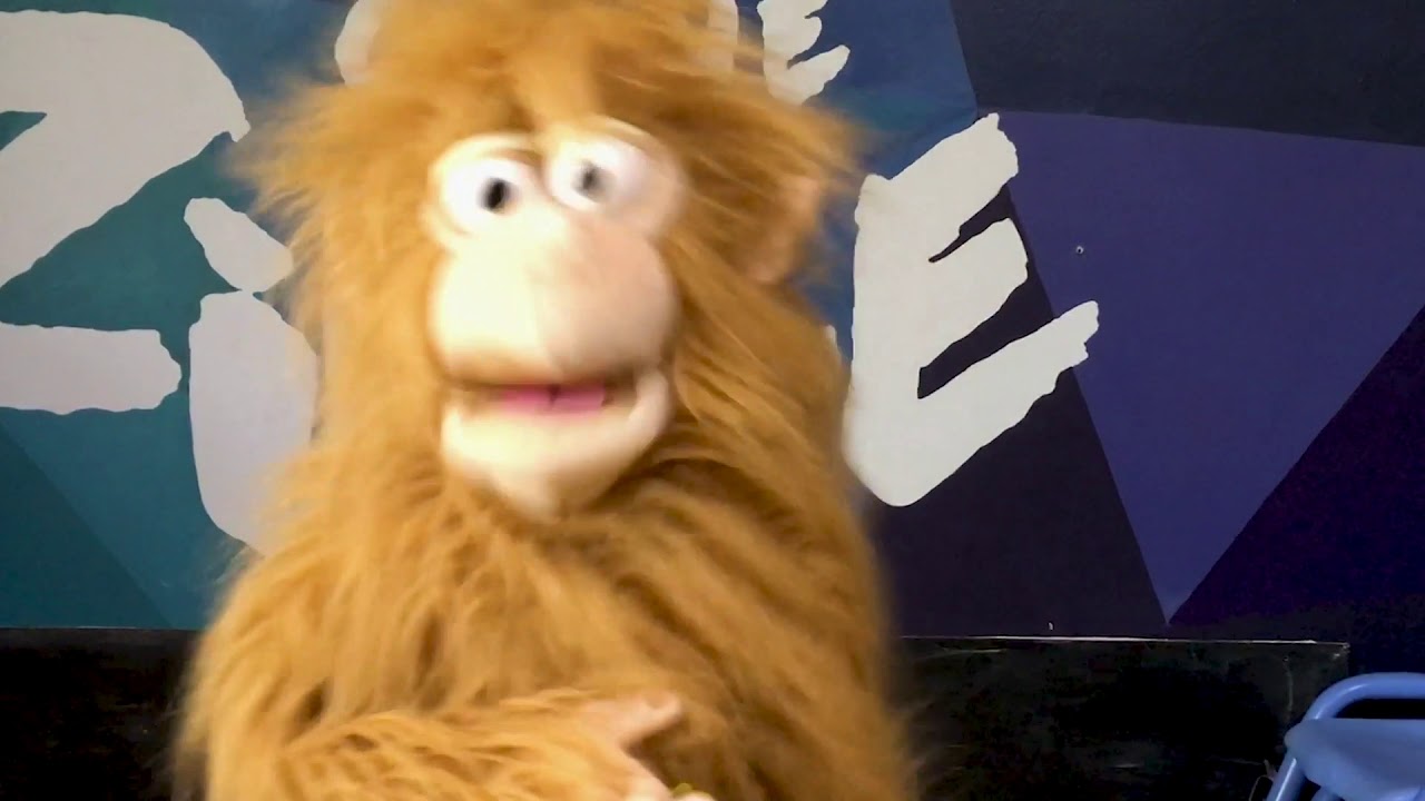 6/01/20 - A Special Message from Bongo - Monday - YouTube