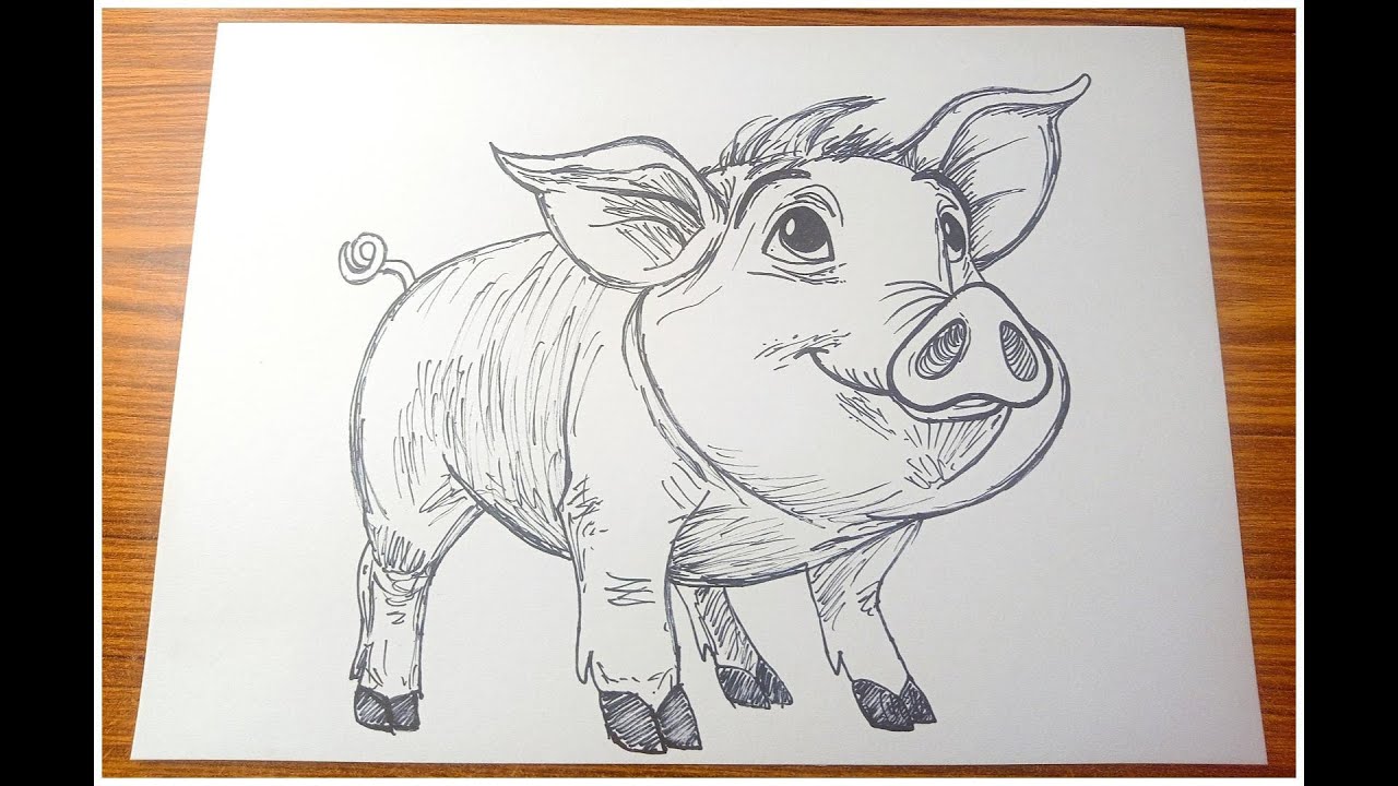 How to draw a Pig. Pig drawing tutorial. - YouTube