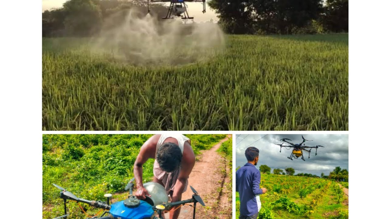 Agriculture spraying drone full video. Spraying paddy 9866784865 - YouTube