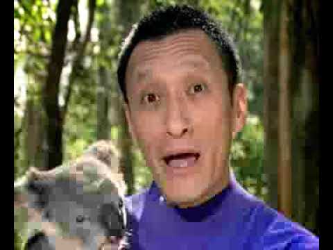 Australian Koala Foundation Jeff Fatt 2005 Ad