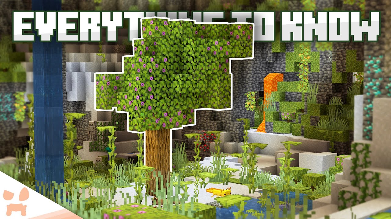 LUSH CAVES: Everything To Know | The Cave Update That Could've Been ...