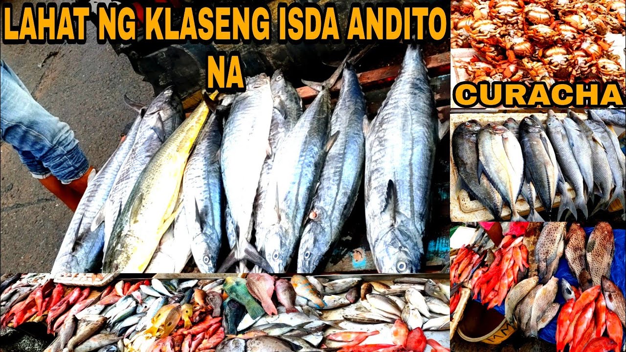 murang bilihan ng isda sa zamboanga city - YouTube
