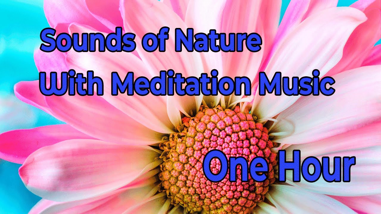 Sounds of Nature With Meditation Music to Relax Mind and Body # ...