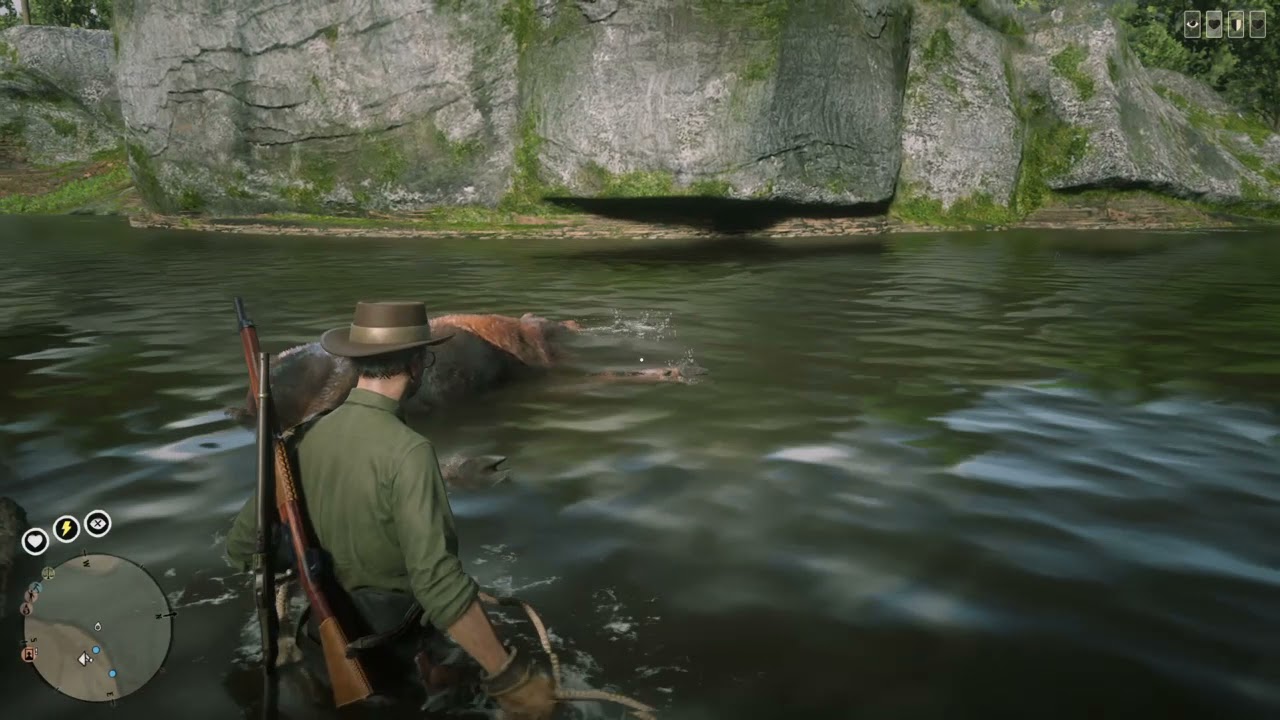 RDO - The dead moose that got away - YouTube