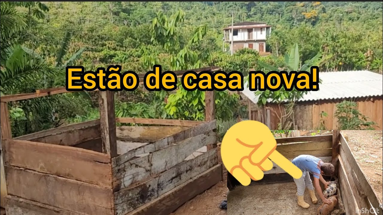 Construção de um girgo e chiqueiro para nossos porquinhos#vida na roça# ...