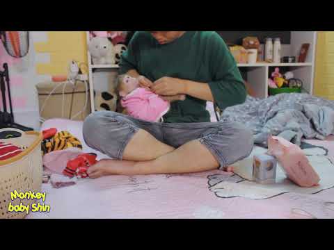 Monkey Baby Shin Wears a Diaper and A New Shirt Bought by his Father is Very Cute
