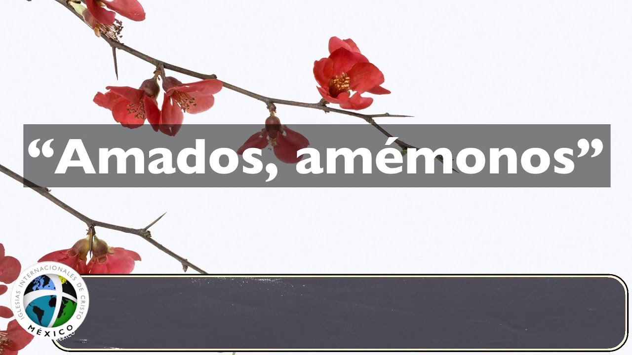 Amados, amémonos - YouTube