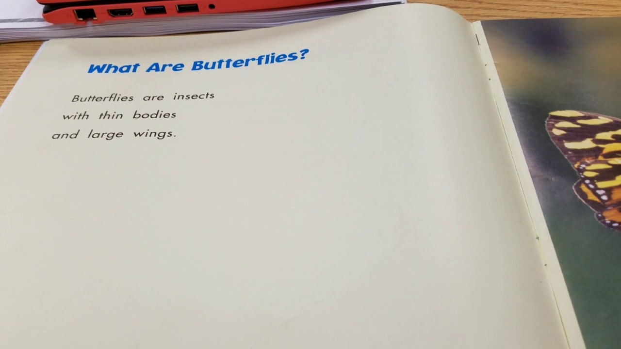 Butterflies read aloud - YouTube