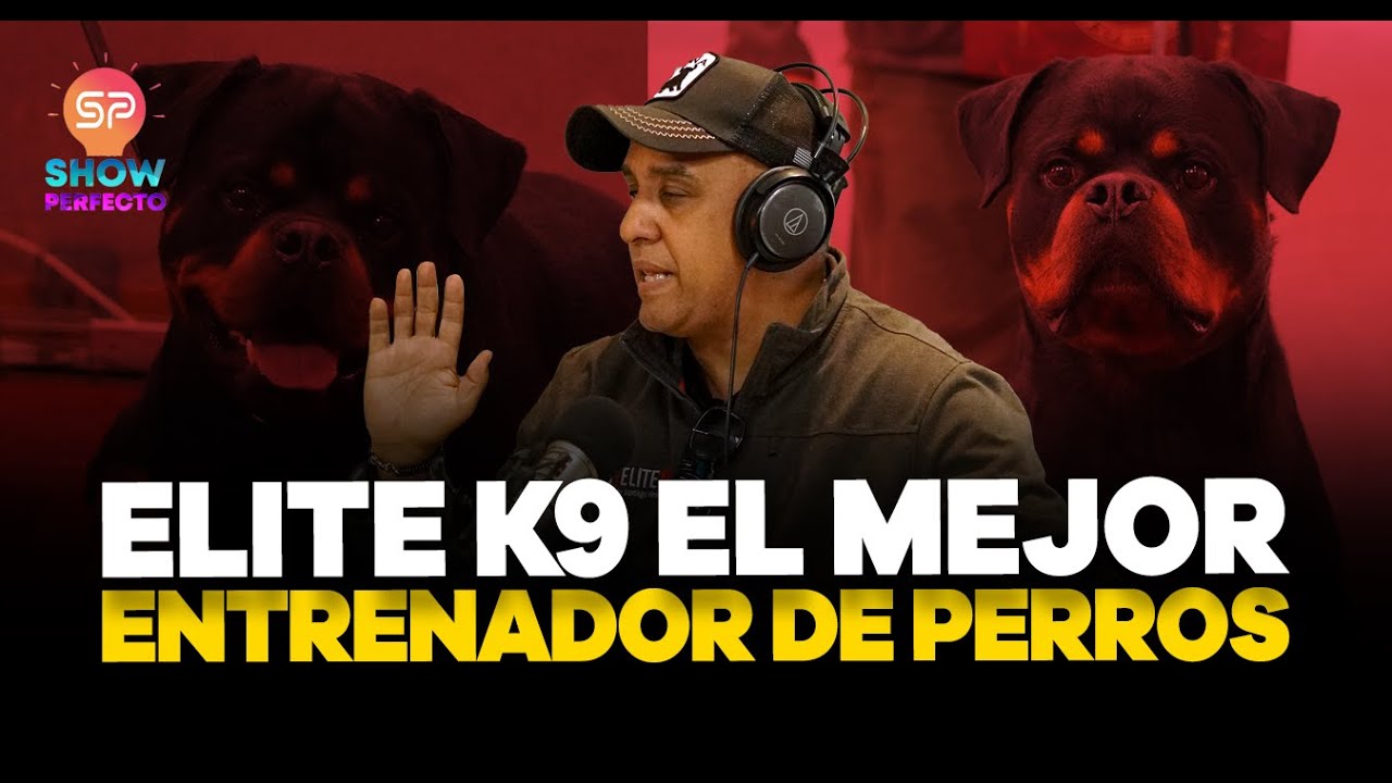 DANILO - EL PERRO MÁS EDUCADO QUE JAMÁS HAYAS VISTO | EL SHOW PERFECTO ...