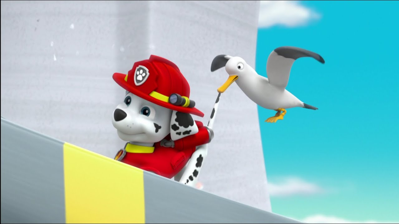 Marshall Takes The Slide Instead - Paw Patrol - YouTube