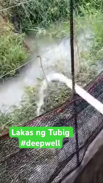 #deepwell #waterpump lakas ng Tubig ng deep well - YouTube