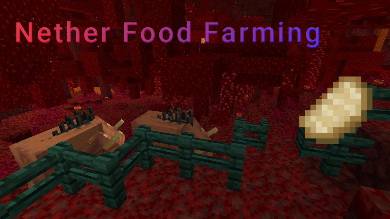 Minecraft - Nether Self Sustainable Food Farm (Day 3) - YouTube