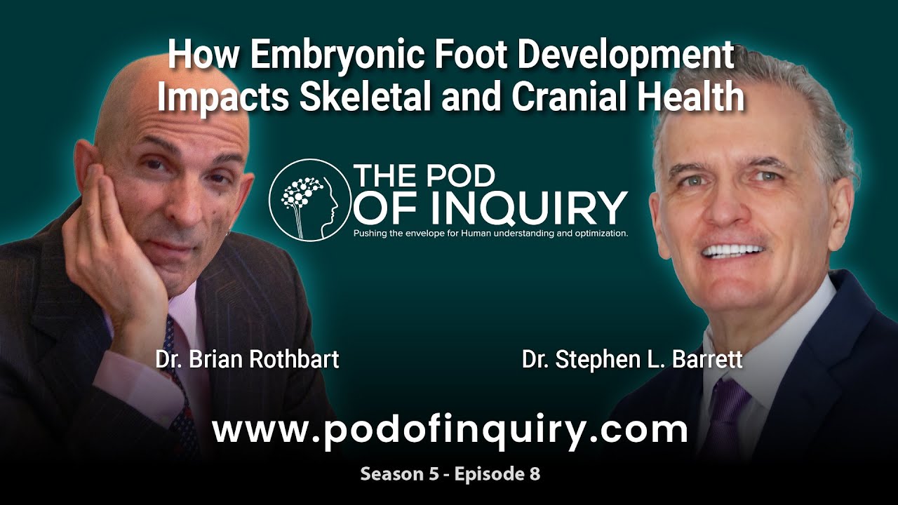 How Embryonic Foot Development Impacts Skeletal and Cranial Health | Dr ...