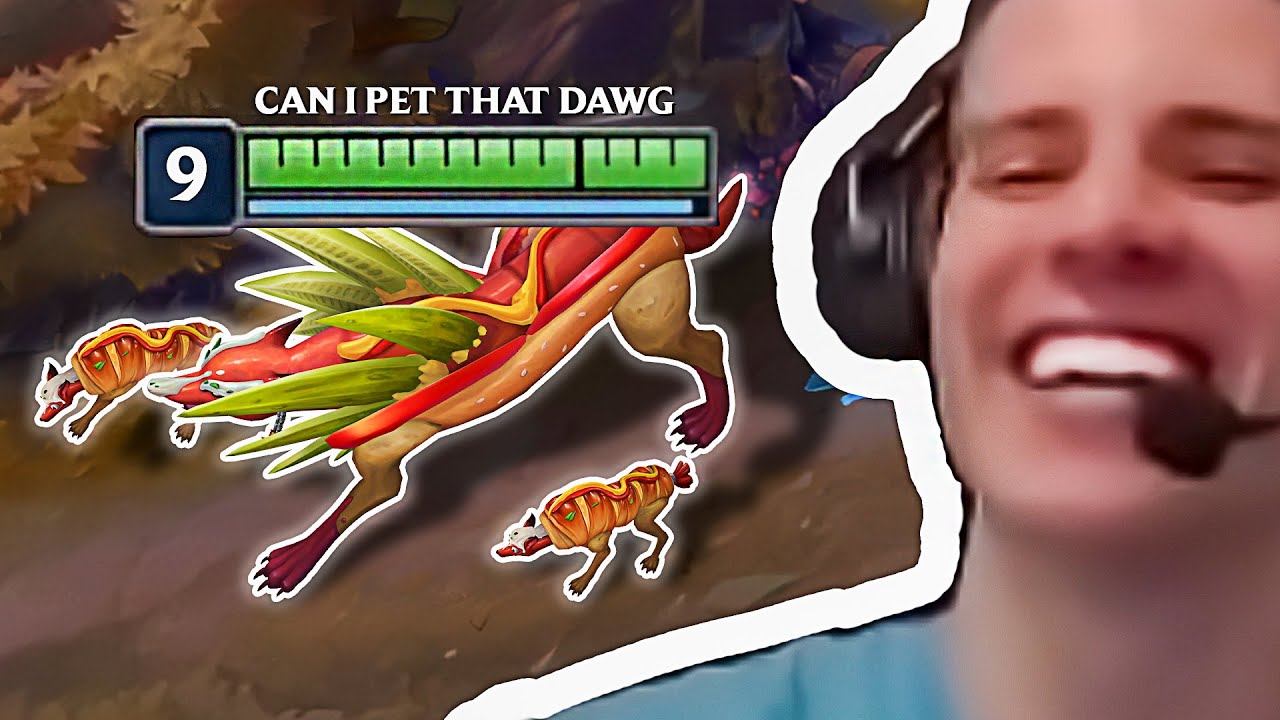 CAN I PET THAT DAWG?! - YouTube