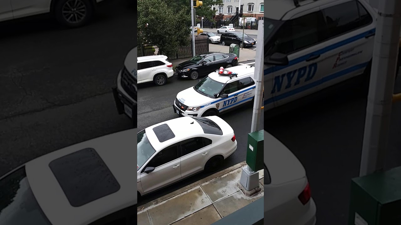 So. Bronx fights 2 burnouts crack wars - YouTube