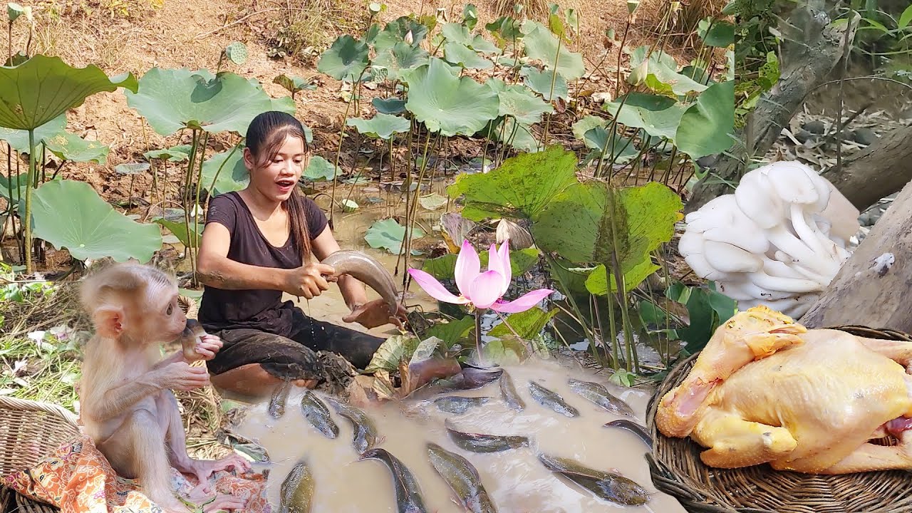 Skills catch fish in mud for survival food, Catfish hot chili curry for ...