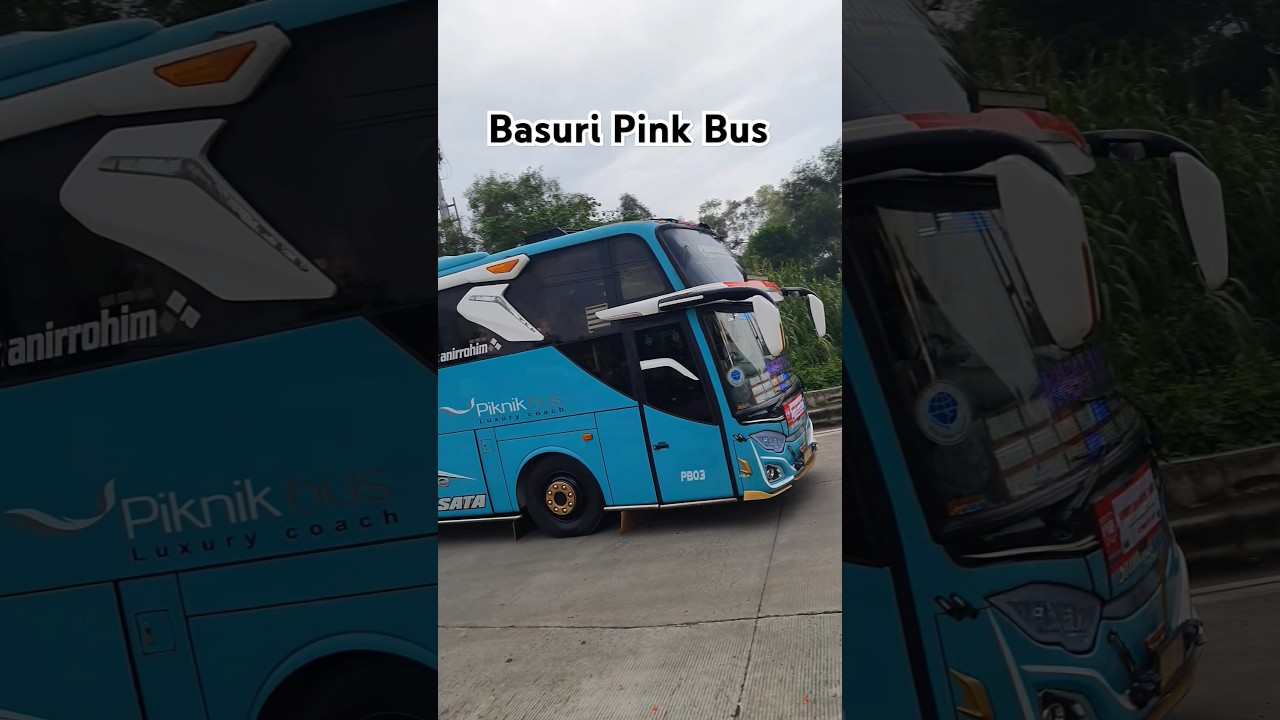 Basuri Pink bus pariwisata #bus #busmania #fyp #basuri #automobile # ...