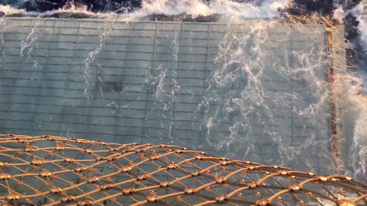 USMC AAV launch off of ship - YouTube