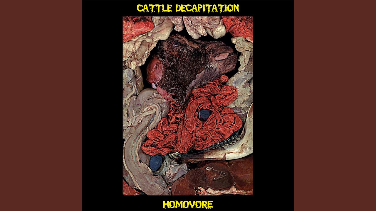 Open Human Head Experiments with Bleach Laquer and Epoxy (2021 ...