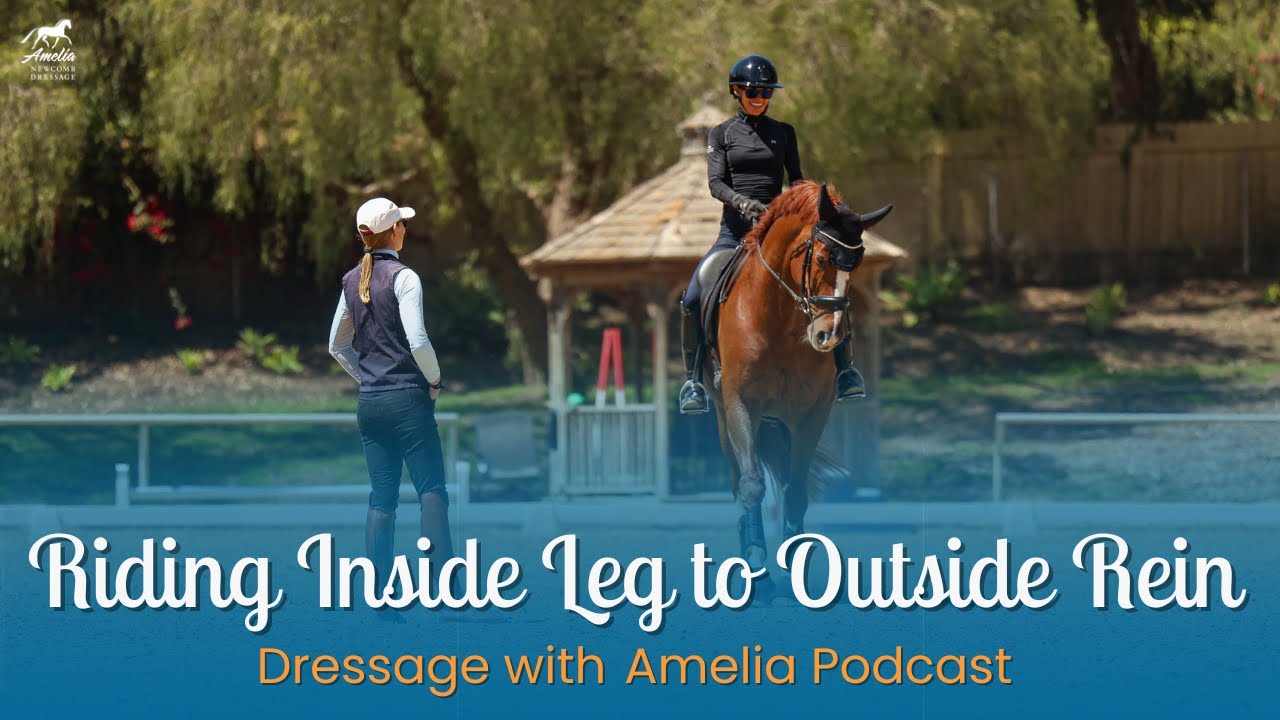 Riding Inside Leg to Outside Rein Q&A - YouTube
