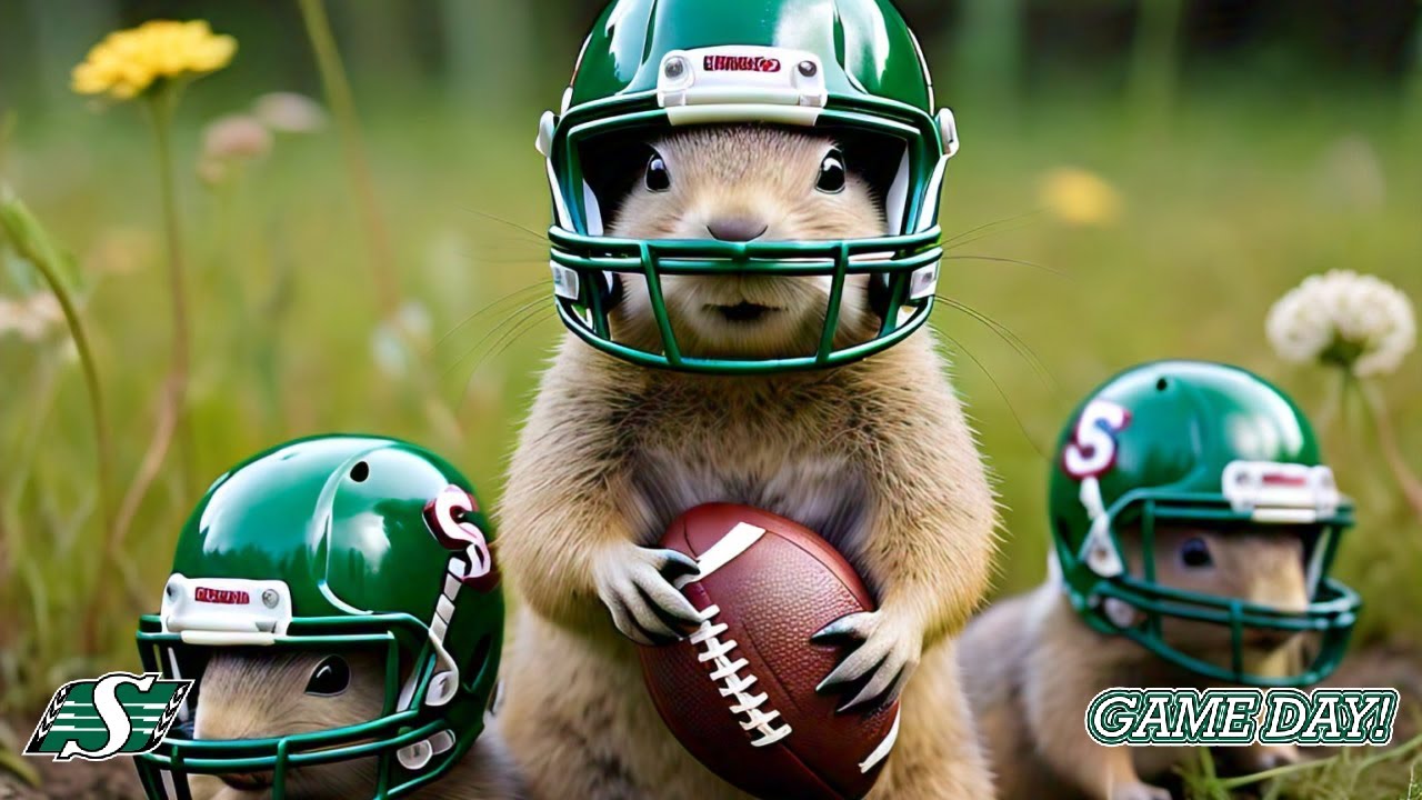 2024 CFL Saskatchewan Roughriders AI Game Day Song | 16:9 60fps - YouTube