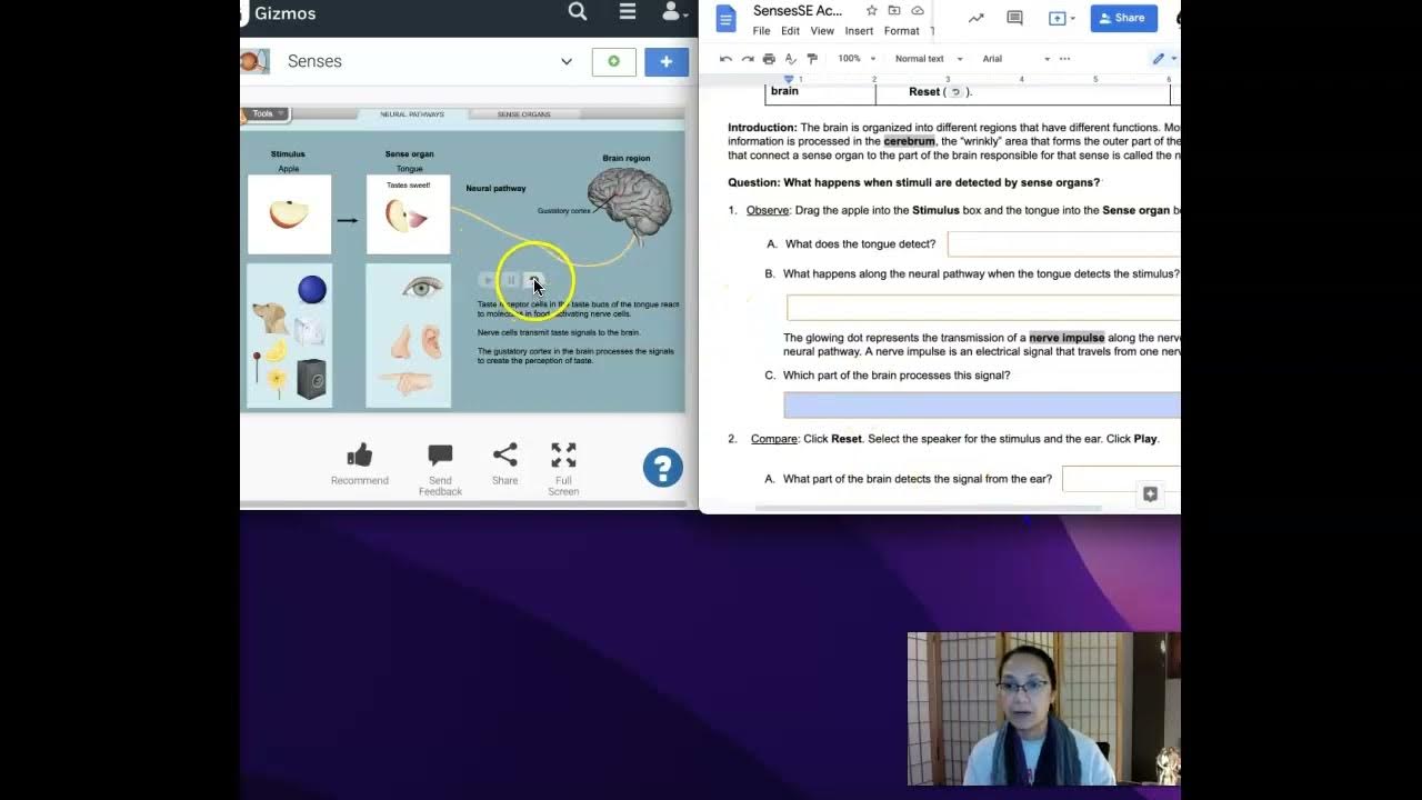 How To Complete Gizmo Senses Summative YouTube how-to-complete-gizmo-senses-summative-youtube