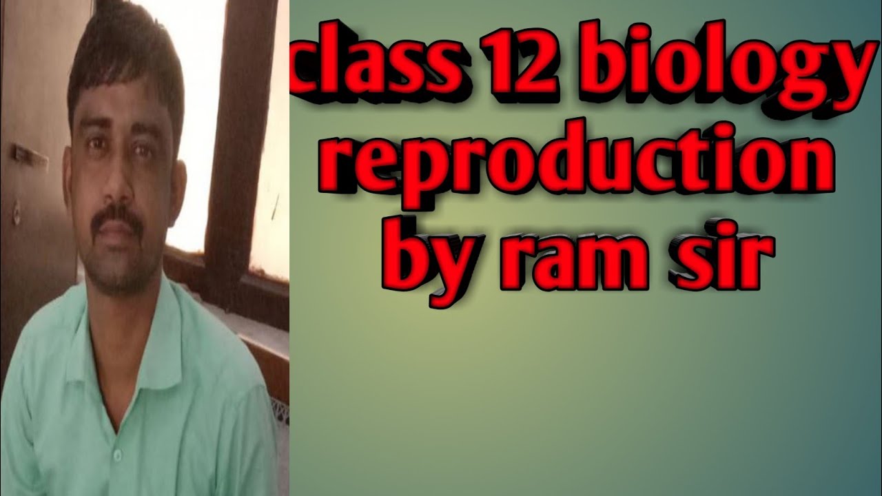 Class 12 Biology Reproduction - YouTube