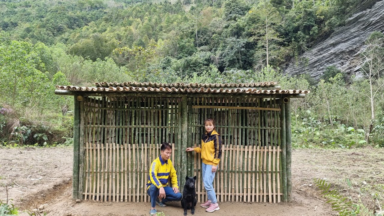 Build a bamboo house in a new land - Build a life in a new land - YouTube