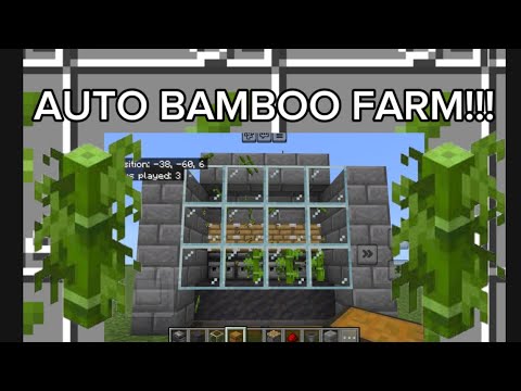 Super simple AUTOMATIC BAMBOO FARM (Minecraft) - YouTube