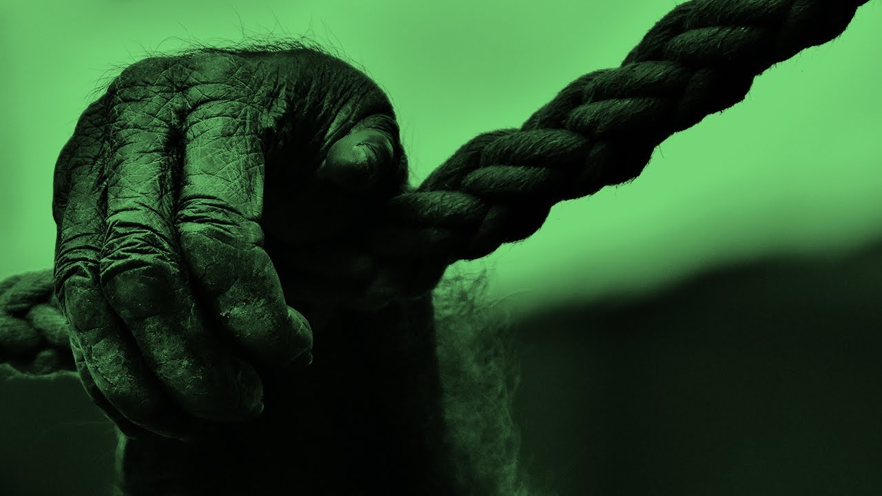 | FREE FOR PROFIT | - MONKEY - Rap/Hip Hop Instrumental Type Beat #063 ...