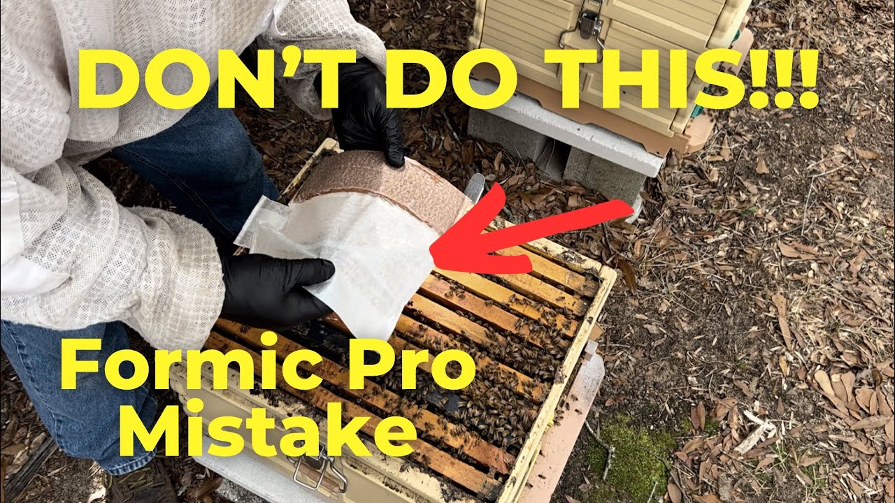 Don’t Make this CRITICAL Mistake with Formic Pro! - YouTube