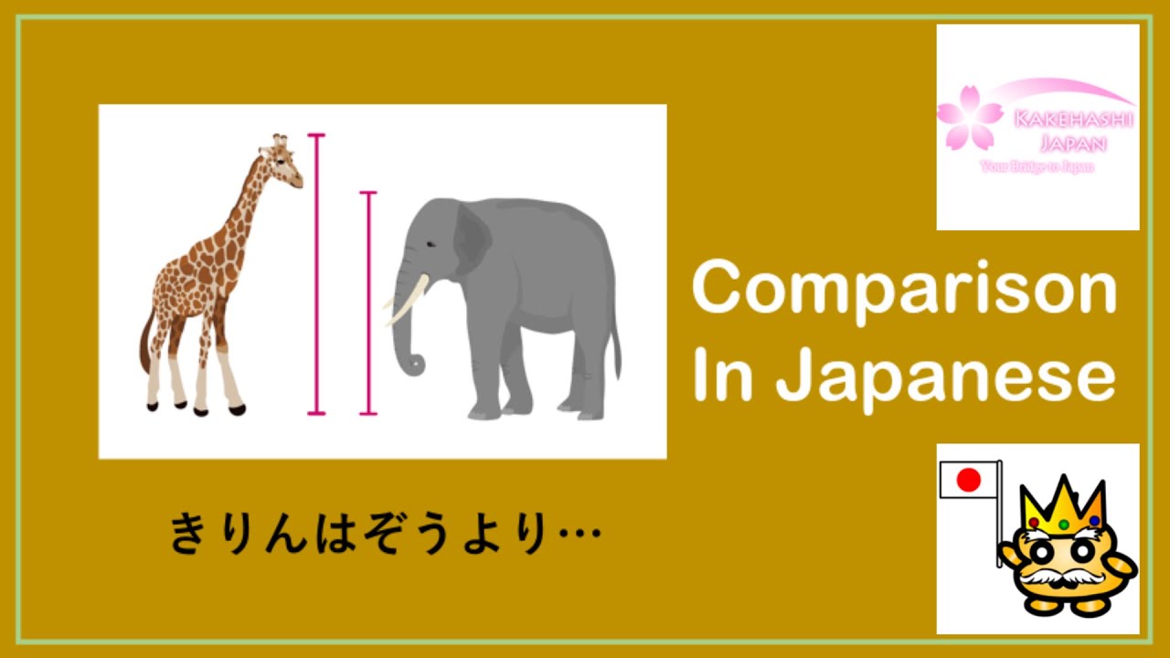 Making Comparisons in Japanese! - Learn Japanese Grammar ! 〜より〜の方が ...