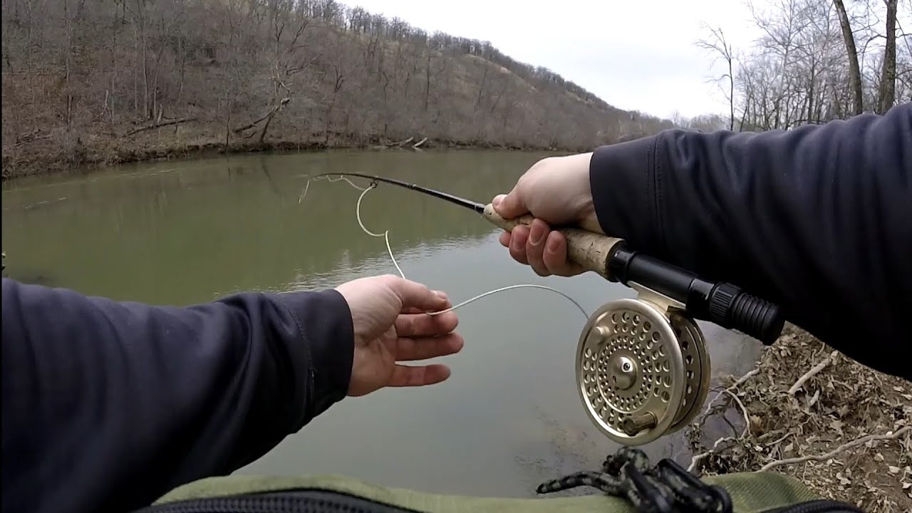 River fishing for Trout and Smallmouth | The Niangua - YouTube