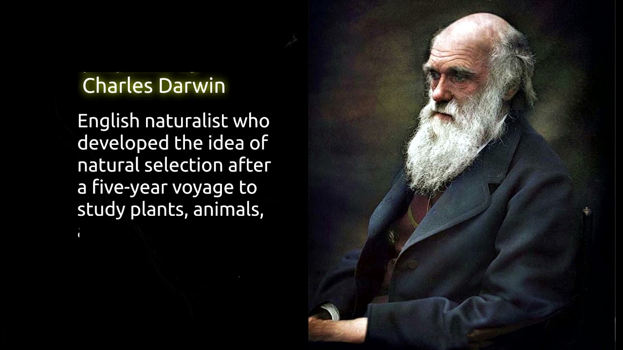 LAMARCK VS. DARWIN THEORIES OF EVOLUTION/LEARNING ACTIVITY SHEETS/MELC ...